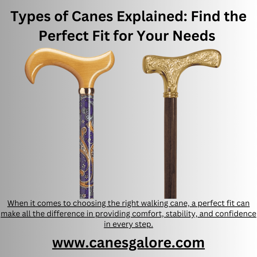 Types of Canes Explained: Find the Perfect Fit for Your Needs – Canes ...