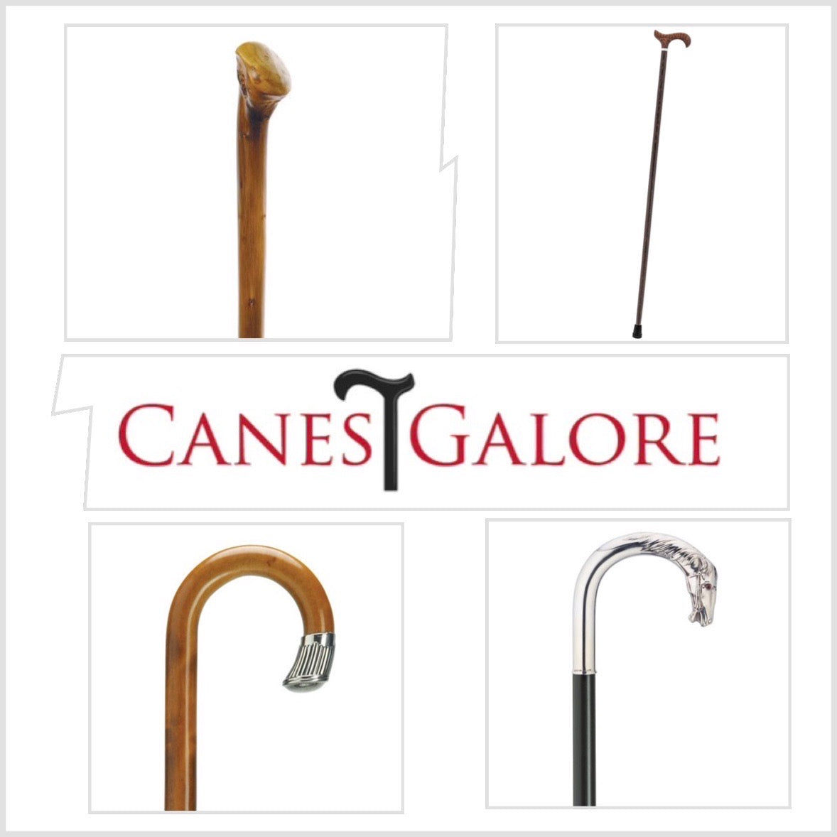 Walking Canes for Recovery | Support After Injury or Surgery – Canes Galore