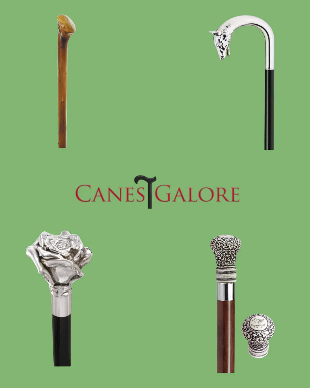 Walking Sticks & Canes Collection – Canes Galore